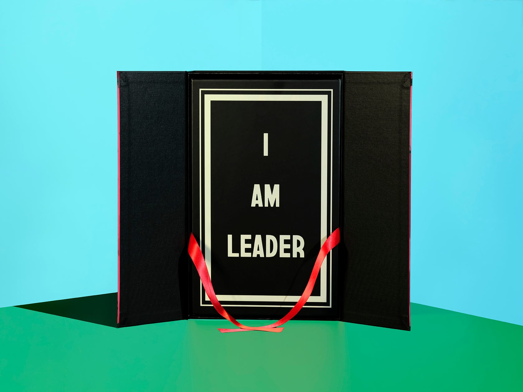 I AM LEADER Book